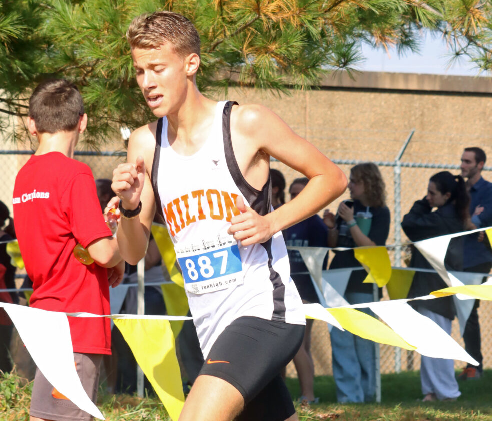 Lewisburg’s Hess wins District 4 cross country championship | News ...